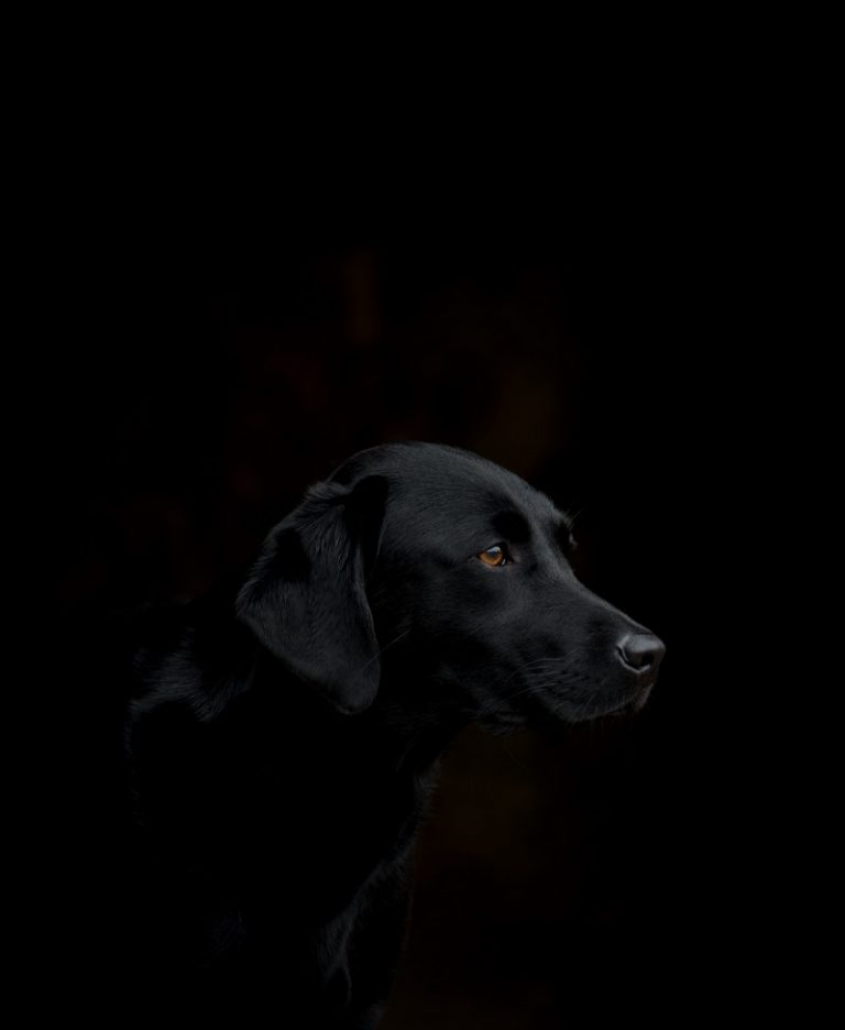 12 Photography Rules and When to Break Them — Click and Learn Photography